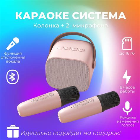Караоке система розовая, 2 микрофона - купить с доставкой по выгодным ...