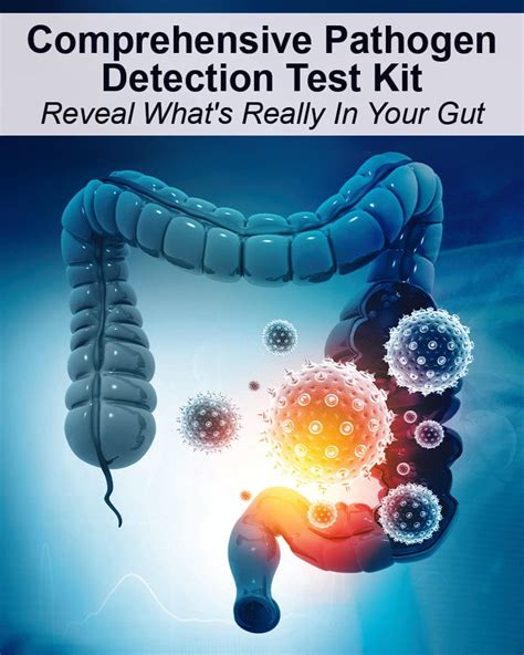 Comprehensive Pathogen Detection Test Kit Nuvision Health Center Comprehensive Pathogen Detection Test Kit Nuvision Health Center
