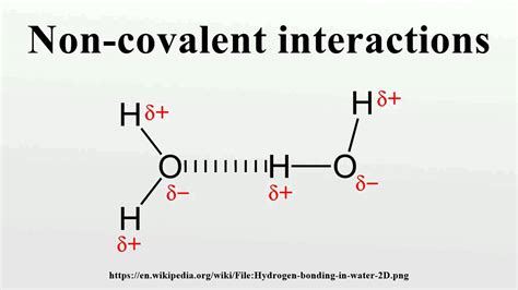 Non Covalent Interactions Youtube