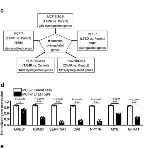 Screening Of Candidate Genes Responsible For Endocrine Resistance In Download Scientific