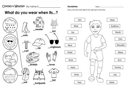 Интересные упражнения по английскому языку для 5 класса Английский язык 5 класс упражнения с