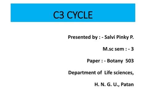 Sex Determination Chromosomal Theory Of Sex Determination Ppt