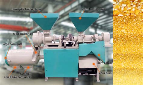 The Technology Of Maize Processing A Complete Guide From Field To Flour