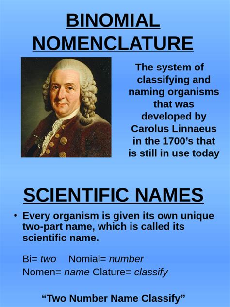 Binomial Nomenclature Pdf Organisms Biology