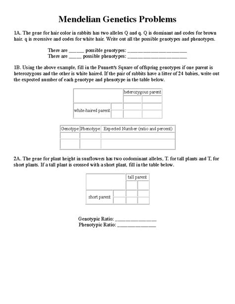 Mendelian Genetics Problems With Punnet Square Warning Tt Undefined Function 32 Mendelian