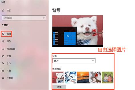 Win10怎么设置电脑桌面壁纸？新手必看，让桌面焕然一新 知乎