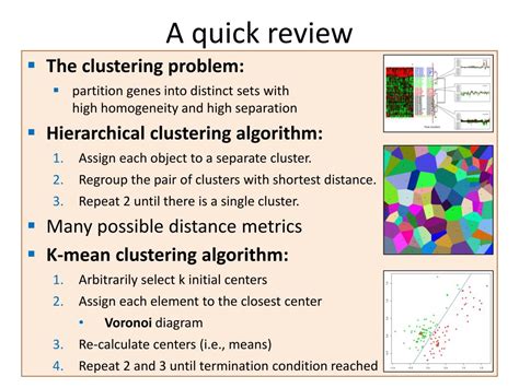 Ppt Biological Networks Analysis Introduction And Dijkstras