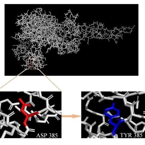 Protein Structure Predicted By Swiss Model Protein Structure Predicted
