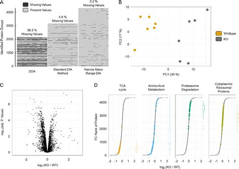 Robust Precise And Deep Proteome Profiling Using A Small Mass Range And Narrow Window Data