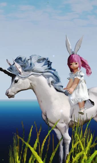 Princess Chibiusa Small Lady Eorzea Collection