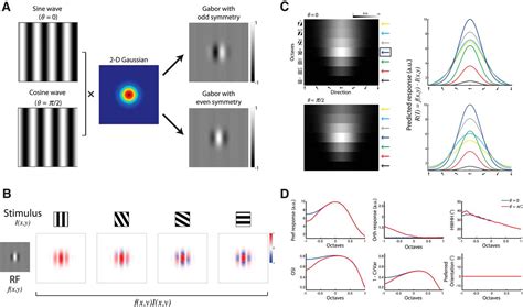 Orientation Tuning Depends On Spatial Frequency In Mouse Visual Cortex Eneuro