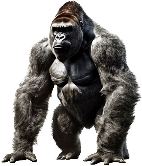 Gorilla With 24722292 Png