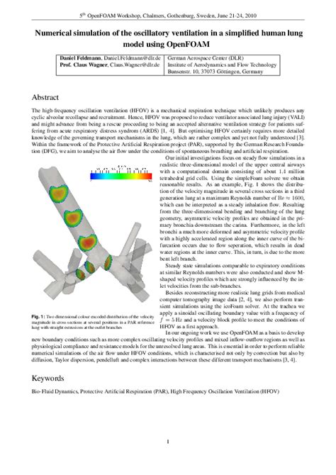 Pdf Numerical Simulation Of The Oscillatory Ventilation In Simplified Human Lung Models Using