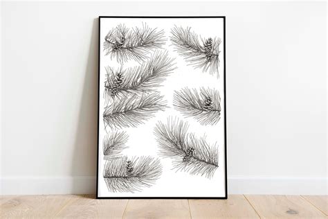 Fir Tree Drawing Etsy