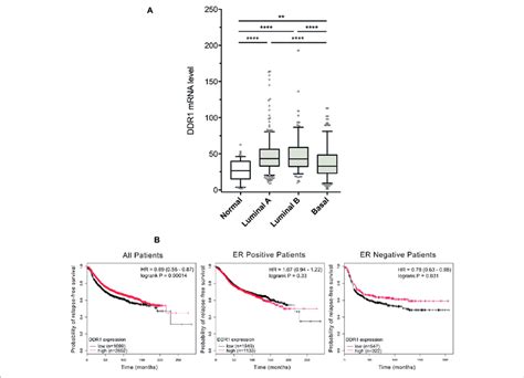 Ddr1 Expression In Breast Cancer And The Associated Correlation With