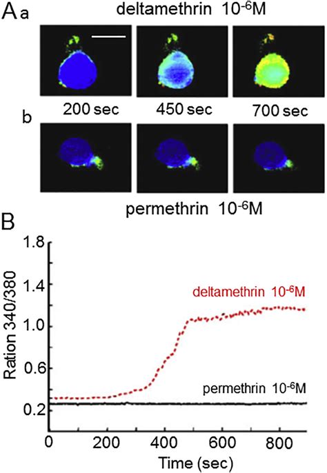 Effects Of Deltamethrin And Permethrin On Intracellular Calcium Download Scientific Diagram