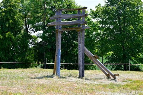 화창한 여름날 광활한 들판이나 초원 한가운데서 볼 수 있는 통나무 널빤지 판자로 만든 나무 전망대 또는 보초 타워를 클로즈업하고 그 꼭대기로 이어지는 사다리가 있습니다 0
