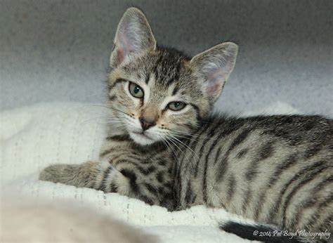 Pat Boyd Photography Added A New Pat Boyd Photography