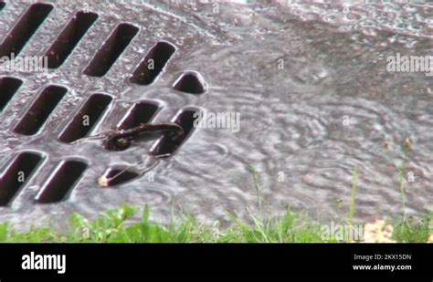 Water Canalization Stock Videos And Footage Hd And 4k Video Clips Alamy