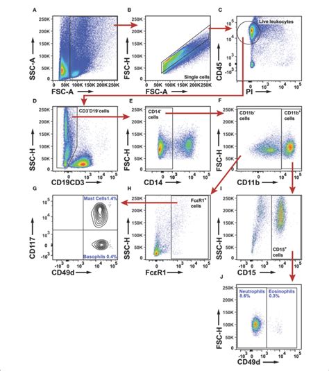 Flow Cytometry Analysis Of Granulocytes In Nsclc Tumors A A Fsc A
