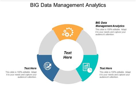 Big Data Management Analytics Ppt Powerpoint Presentation Gallery Files Cpb Powerpoint