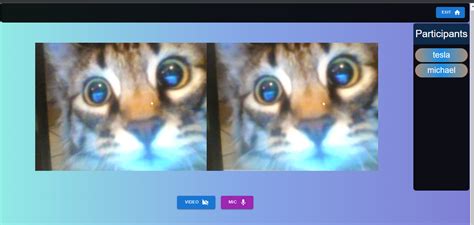 Github Mamihretu Doom A Peer To Peer Video Chat Application Implemented Using Webrtc And A