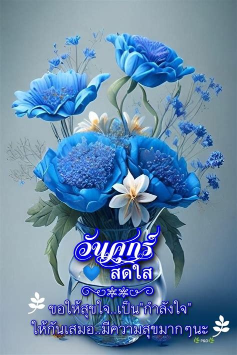 วันศุกร์🌿💙 สุขสันต์วันศุกร์ สุขสันต์วันอาทิตย์ วันศุกร์