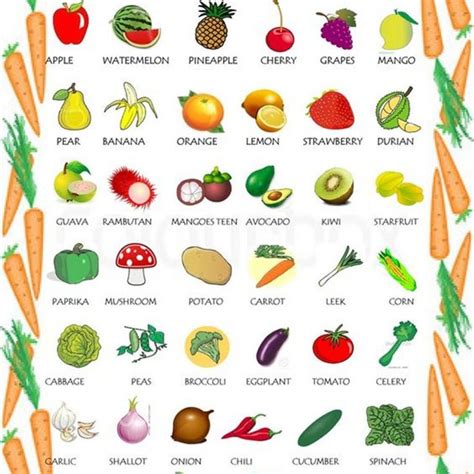 Fruits Vs Vegetables Ells Class 206 Fruits And Vegetables List