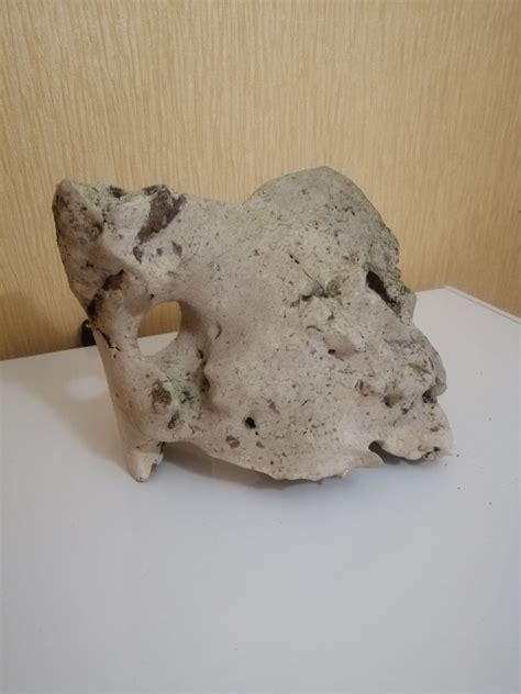 Декоративний камінь в акваріум 200 грн Прочие товары для дома Киев на Olx