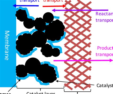 3 schematic of the catalyst layer microstructure download