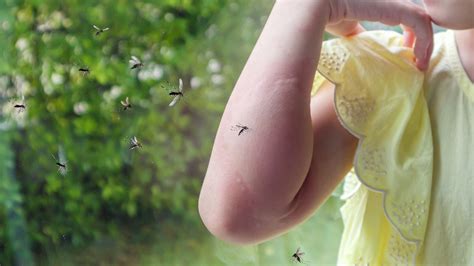 Zaščita Pred Komarji Lahko Otroku Tudi škodi