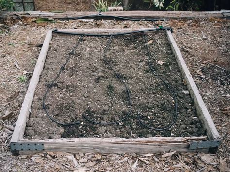 Drip Irrigation Assembling And Installing Your System Artofit