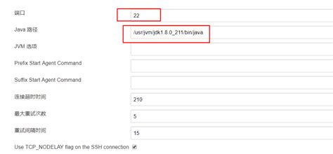 【jenkins 插件】使用 Ssh Slaves 创建从节点执行任务 Jenkins 实战案例编程笔记tendcode