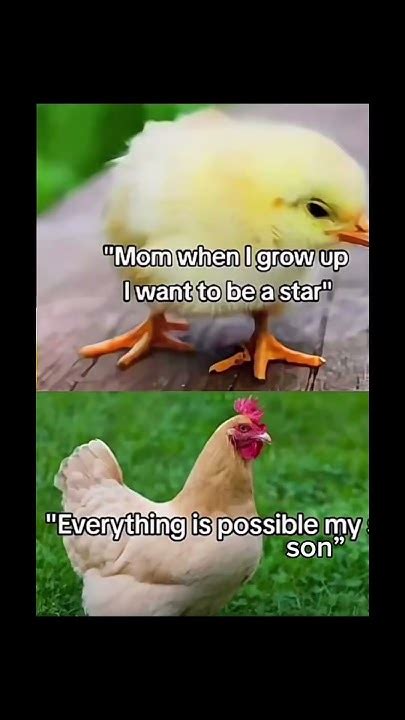 Thats Wildd Memes Algorithm Blowup Funny Beatthealgorithm Duet Algorithmchallenge