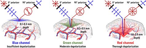 Figure 1 From Multispectral Depolarization Based Living Skin Detection
