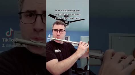 Multiphonic Flute Beatbox Stir It Up Riff Youtube