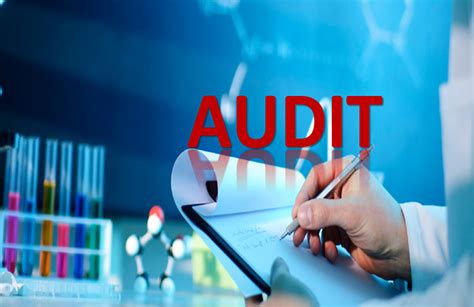 Трансформації в аудиті 2025 нові стандарти звітність із сталого розвитку та організаційні зміни