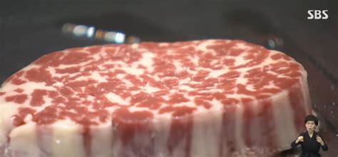 우리나라가 세계최초로 만든 덩어리 배양육 이것저것 꾸르