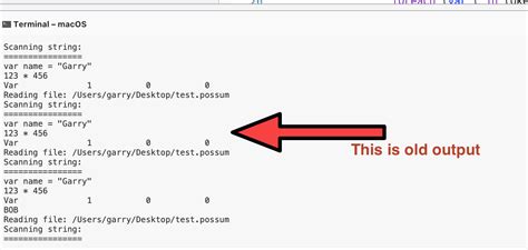 C How Do You Clear The Macos Terminal Pad In Visual Studio For Mac
