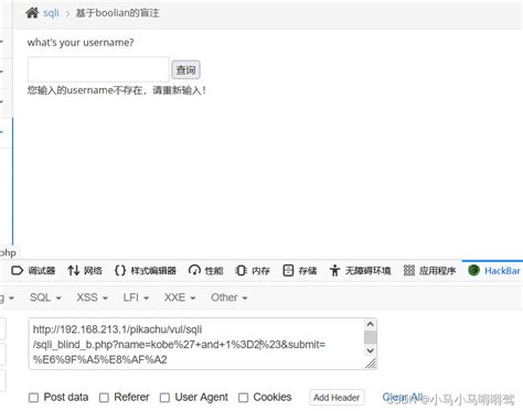 Pikachu Sql 注入（盲注）pikachu盲注 Csdn博客