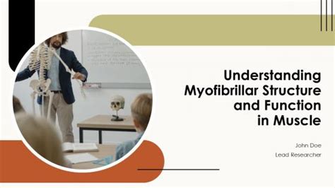 Understanding Myofibrillar Structure And Function In Muscle Ppt Slides
