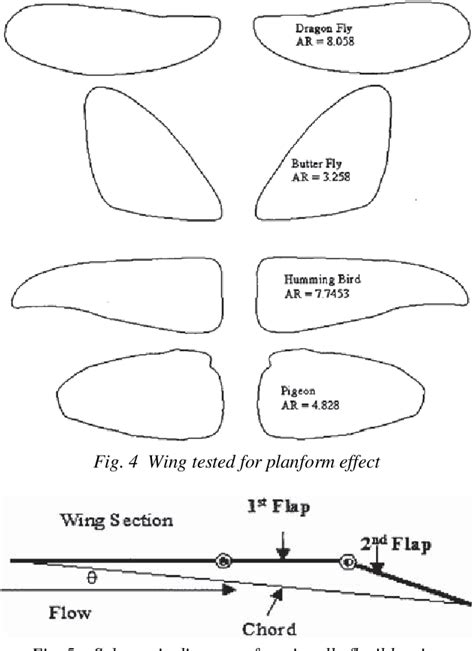 Figure 2 From Unsteady Aerodynamic Characteristics Of The Flapping Wing Micro Air Vehicle Mav