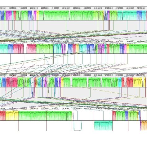 Genome Annotation Of Bacillus Sp B48 And Bacillus Sp B140 By Download Scientific Diagram