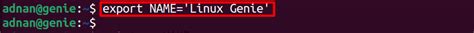 How To Set Environment Variables In Ubuntu Linux Linux Genie