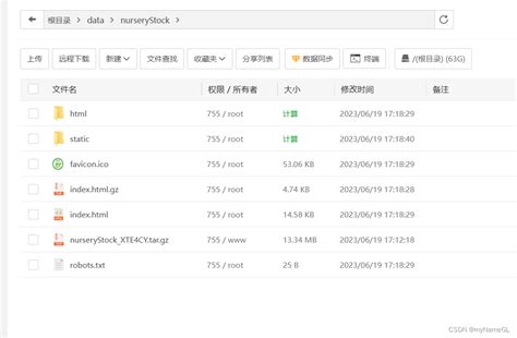 Ruoyi项目服务器重启后台报：欢迎使用ruoyi后台管理框架，当前版本：v381，请通过前端地址访问。欢迎使用ruoyi后台管理框架