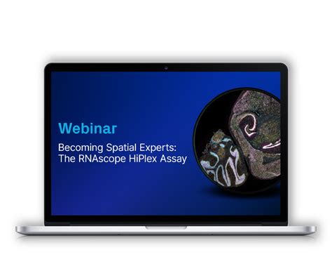 Reveal Transcriptomic Insights In Spatial Context With Rnascope