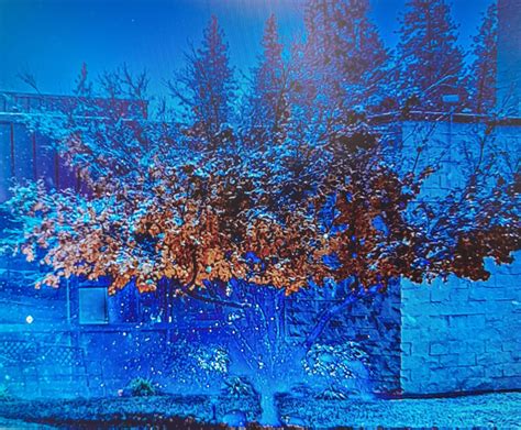 Plot Library Wiki Bxb Roleplay Amino