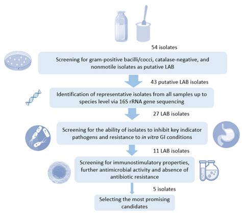 Fermentation Special Issue Dairy Fermentation 2 0