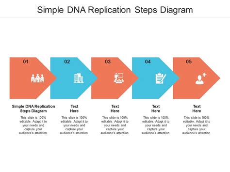Simple Dna Replication